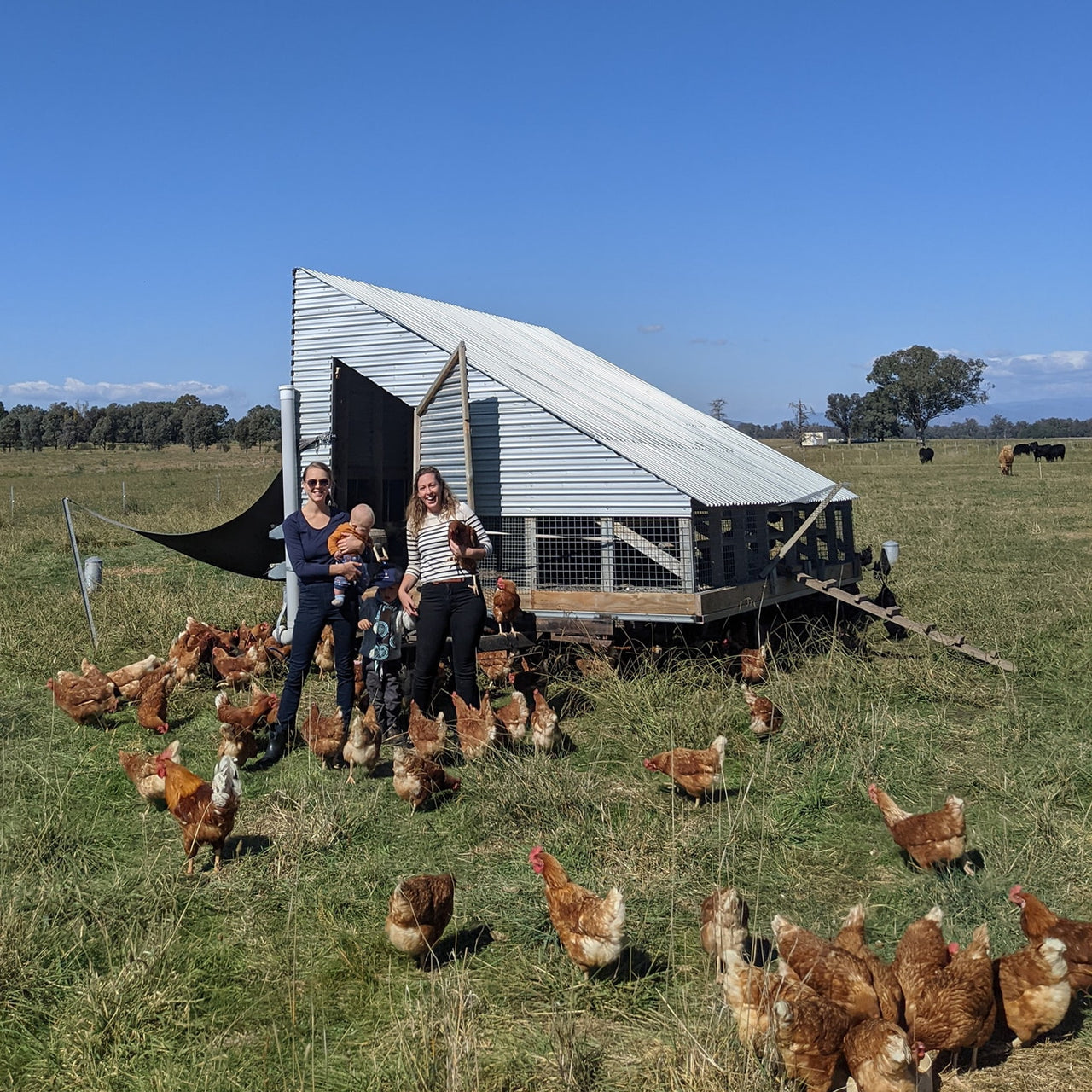 Mobile Egg Housing Construction Plans – Wolki Farm