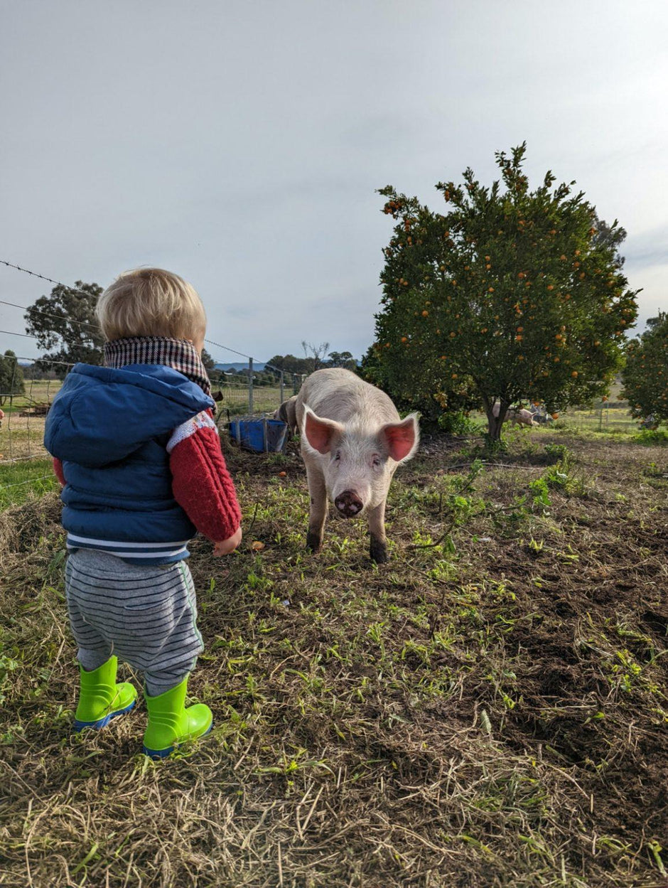 About Wolki Farm