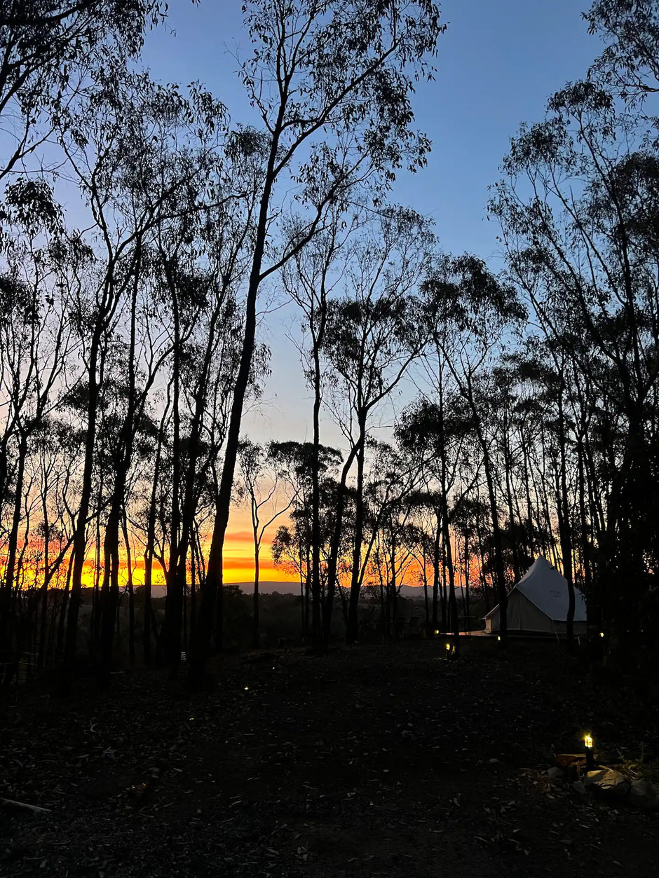 Glamping at Wolki Farm